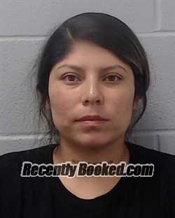 Recent Booking / Mugshot for Jailene Marisol Reyes in Hays County, Texas