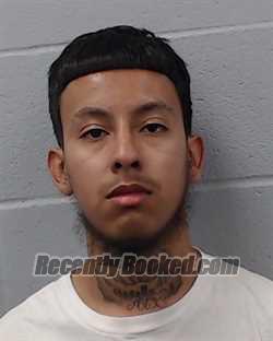 Recent Booking / Mugshot for Kevin Bucio Benitez in Hays County, Texas