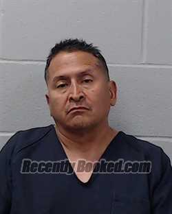 Recent Booking / Mugshot for Bonifacio Torres in Hays County, Texas