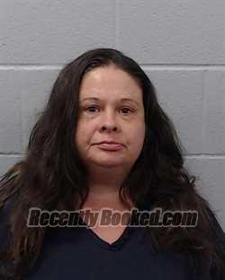 Recent Booking / Mugshot for Michelle Renea Yost in Hays County, Texas