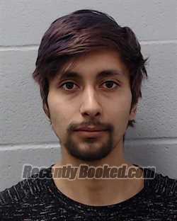 Recent Booking / Mugshot for Jacob Mathew Sosa in Hays County, Texas