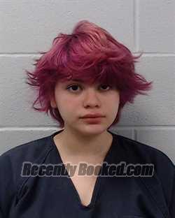Recent Booking / Mugshot for Sadie Chanel Rodriguez in Hays County, Texas
