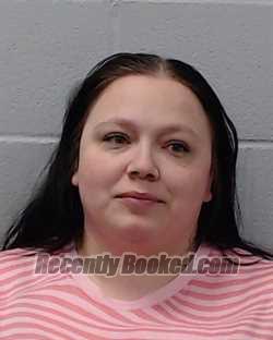 Recent Booking / Mugshot for Cheyenne Jessica Mook in Hays County, Texas