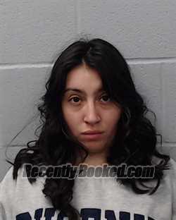Recent Booking / Mugshot for Isabella Michelle Calderon in Hays County ...