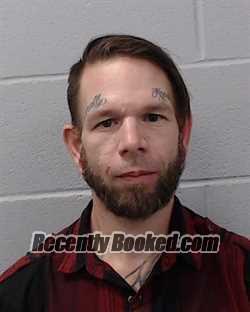 Recent Booking / Mugshot for William Stephen Reece in Hays County, Texas