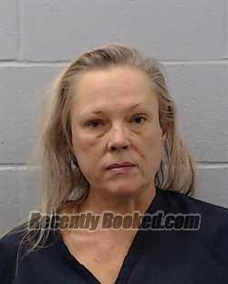 Recent Booking / Mugshot for Jennifer Lynn Vizza in Hays County, Texas