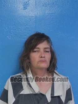 CARA NANCY HECK Arrest Record & Booking Info – Sullivan County ...