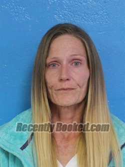 Recent Booking / Mugshot for BOBBIE JO TAYLOR in Sullivan County, Tennessee