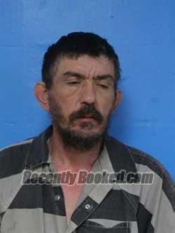 Recent Booking / Mugshot for MACK EDWARD PETERS in Sullivan County ...