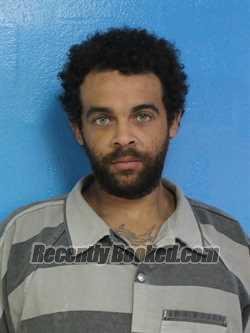 Recent Booking / Mugshot for TERRANCE RAY HARVEY in Sullivan County ...