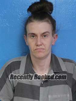 Recent Booking / Mugshot for ERIN DUNCAN in Sullivan County, Tennessee