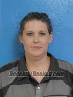 Recent Booking / Mugshot for TONYA MICHELLE GRAY in Sullivan County ...