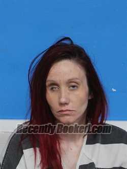 Recent Booking / Mugshot for CASSANDRA ALYSSE HAYNES in Sullivan County ...