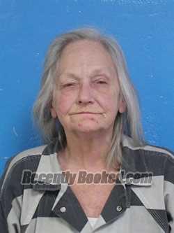 Recent Booking / Mugshot for SHERRY DARLINE JONES in Sullivan County ...