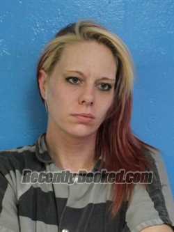 Recent Booking / Mugshot for KAYLA MARIE CRIGGER in Sullivan County ...