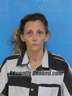 ASHLEY NICHOLE HITE Arrest Record & Booking Info – Sullivan County ...