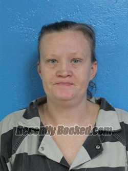 Recent Booking / Mugshot for CORTNEY NICOLE RAMEY in Sullivan County ...
