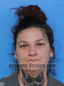 Recent Booking / Mugshot for AMY ELIZABETH COX in Sullivan County ...