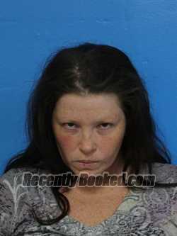 Recent Booking / Mugshot for TYLISA RENEE DOCKERY in Sullivan County ...