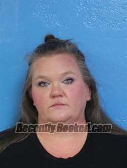Recent Booking / Mugshot for NICOLE DANIELLE COOMBS in Sullivan County ...