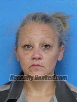 Recent Booking / Mugshot for ANGELIQUE LANNETTE FERGUSON in Sullivan ...