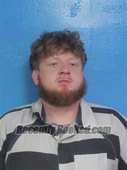 Recent Booking / Mugshot for JORDAN TYLER REDFORD in Sullivan County ...