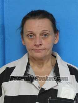 Recent Booking / Mugshot for JESSICA HOPE STALLARD in Sullivan County ...