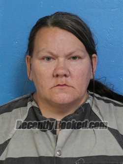 Recent Booking / Mugshot for HEATHER LEIGH CAUDILL in Sullivan County ...