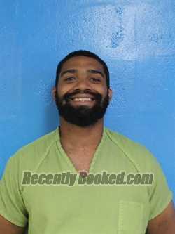 Recent Booking / Mugshot for MARTIN JACOB MAYNE in Sullivan County ...