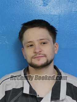 Recent Booking / Mugshot for AUSTIN CADE CARPENTER in Sullivan County ...
