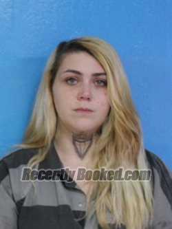 Recent Booking / Mugshot for HANNAH MARIE ARNOLD in Sullivan County ...