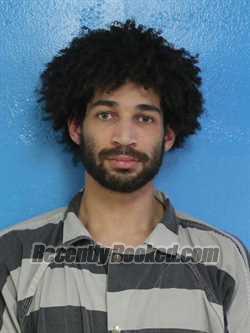 Recent Booking / Mugshot for RONNELL TREY THOMAS in Sullivan County ...