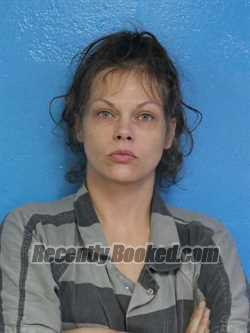 Recent Booking / Mugshot for APRIL MARIE MOLES in Sullivan County ...