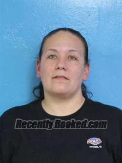 Recent Booking / Mugshot for ROCHELLE VERONICA CASTILLO in Sullivan ...