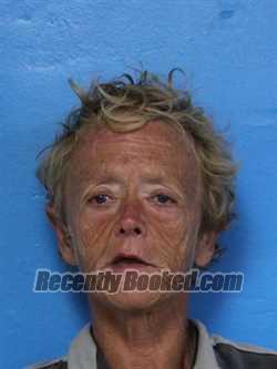 Recent Booking / Mugshot for LESLEY CARYL MASTERS in Sullivan County ...