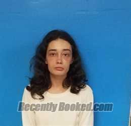 Recent Booking / Mugshot for ANGELA GRACE BOOHER in Sullivan County ...