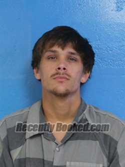 Recent Booking / Mugshot for AUSTIN SKYE CARTER in Sullivan County ...