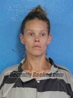 Recent Booking / Mugshot for JESSICA LORA-JEAN HEATON in Sullivan ...