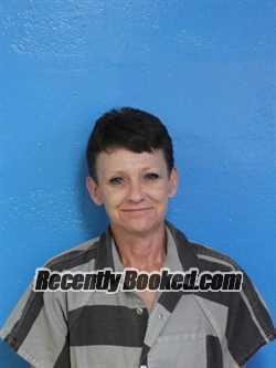Recent Booking / Mugshot for MELISSA ANN BLAYLOCK in Sullivan County ...