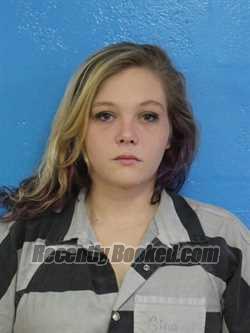 Recent Booking / Mugshot for HOPE DANIELLE BOOHER in Sullivan County ...