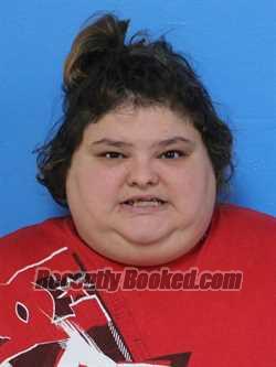 JAMIE JUANITA SMITH Arrest Record & Booking Info – Sullivan County ...