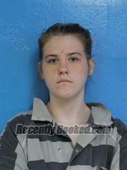 Recent Booking / Mugshot for MORGAN ALEECE SPROLES in Sullivan County ...