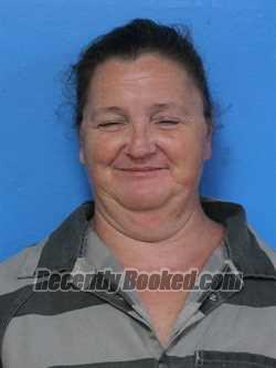 Recent Booking / Mugshot for TONYA MARIE GREER in Sullivan County ...