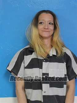 SONYA LOU POWERS Arrest Record & Booking Info – Sullivan County ...