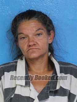 Recent Booking / Mugshot for TAMARA DAWN FINK in Sullivan County, Tennessee