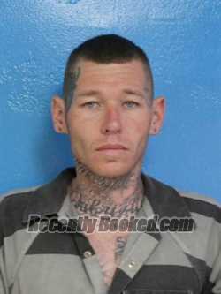 Recent Booking / Mugshot for BLAKE DEAN PARADISE in Sullivan County ...