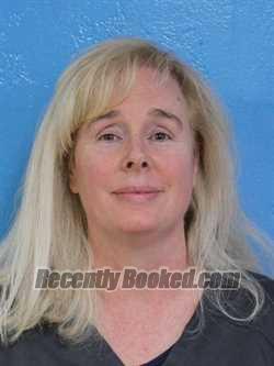 Recent Booking / Mugshot for ALICE CARDIN COLSON in Sullivan County ...