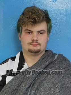 Recent Booking / Mugshot for TYLER BRYCE PICKEL in Sullivan County ...