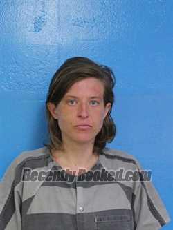Recent Booking / Mugshot for FRANCES ELIZABETH HAMBURGER in Sullivan ...