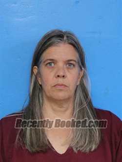Recent Booking / Mugshot for LAURA WHITE WILLIS in Sullivan County ...